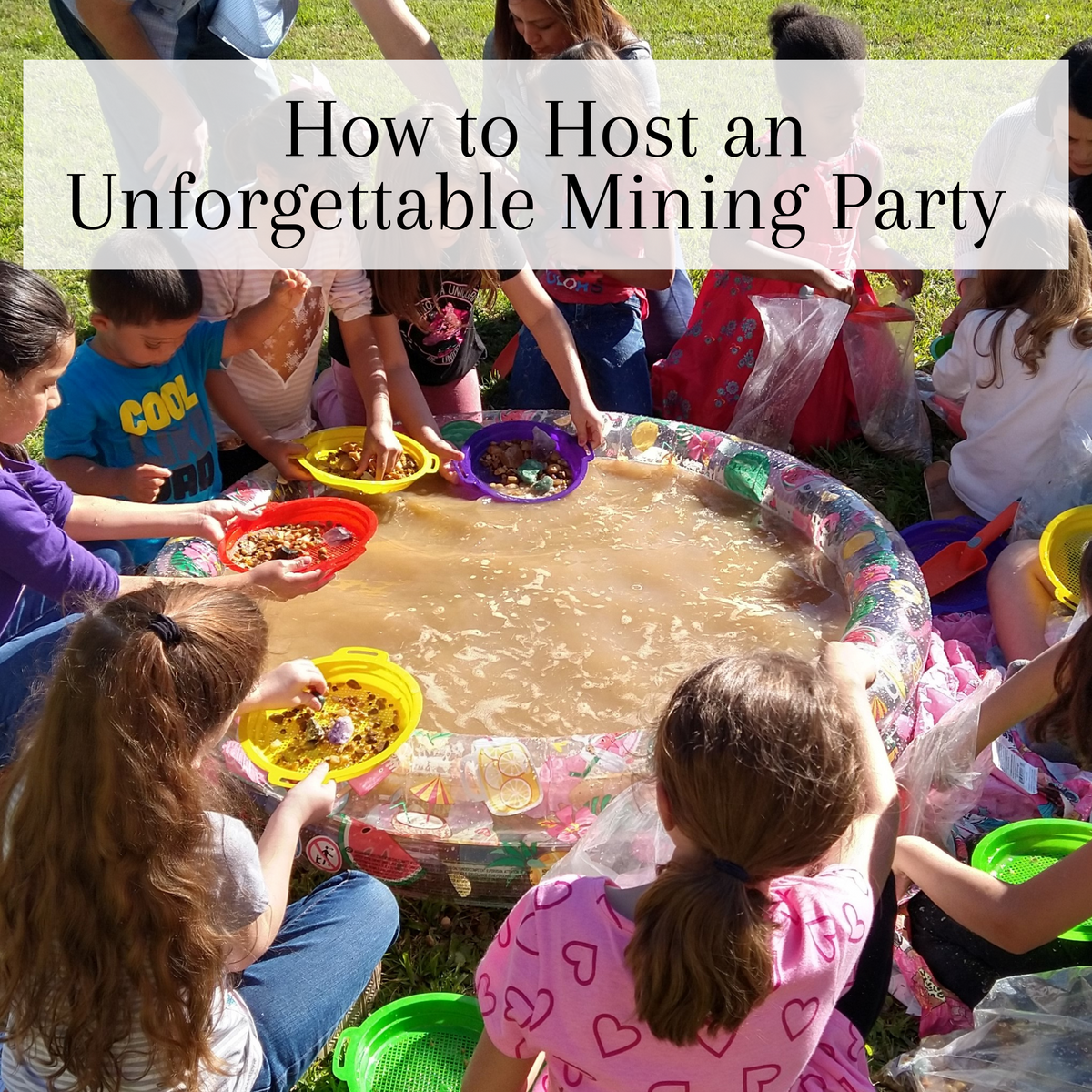 Dig Into Fun: How to Host an Unforgettable Mining Party for Any Occasi ...