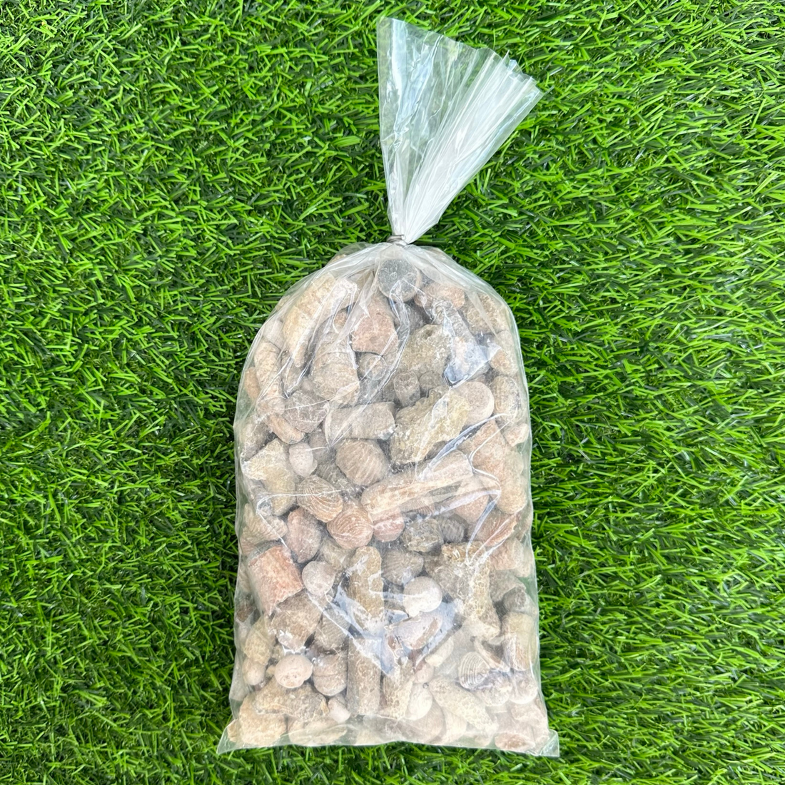 Fossil Mix | Bag of Genuine Fossils! – Sluiceboy Prospecting LLC