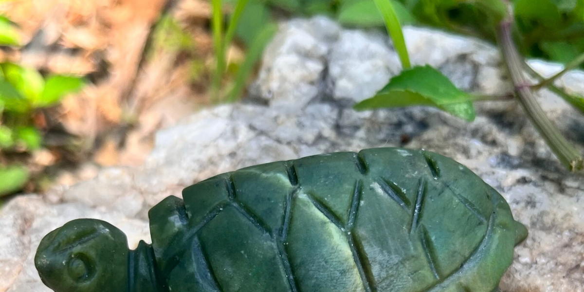 Green Jade Turtle – Sluiceboy Prospecting LLC